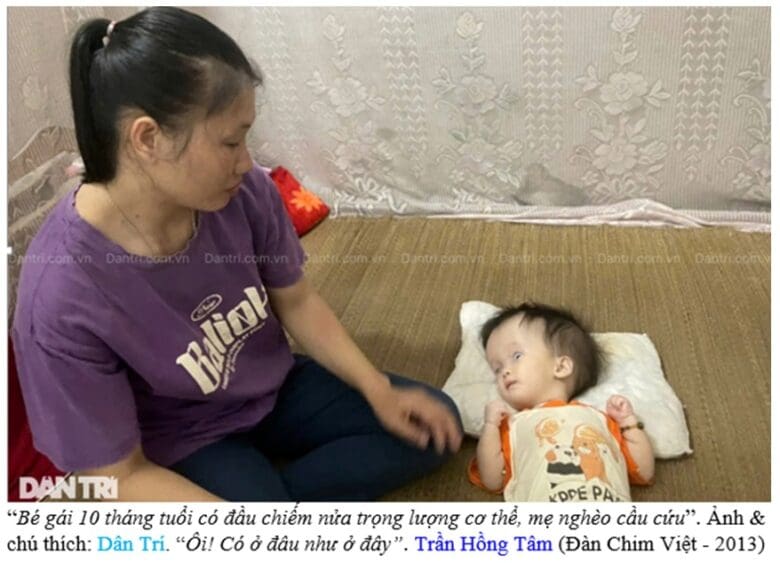 Chó Má & Thuế Má