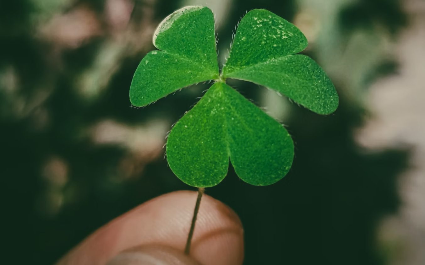 Những vận may hiếm có