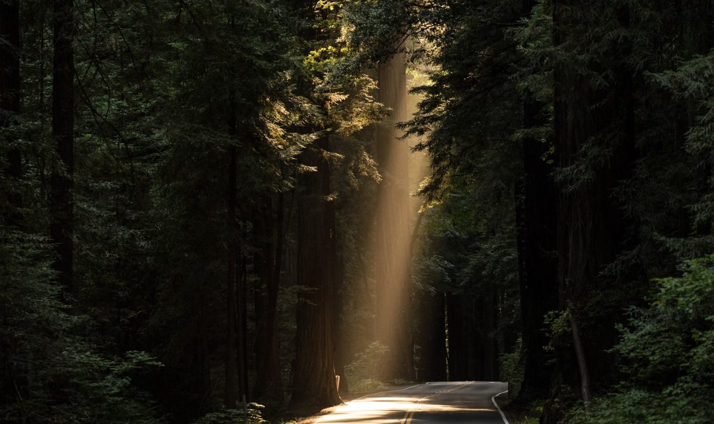 Người bên thua cuộc